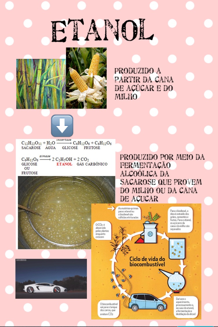 Química Ambiental: Biocombustíveis