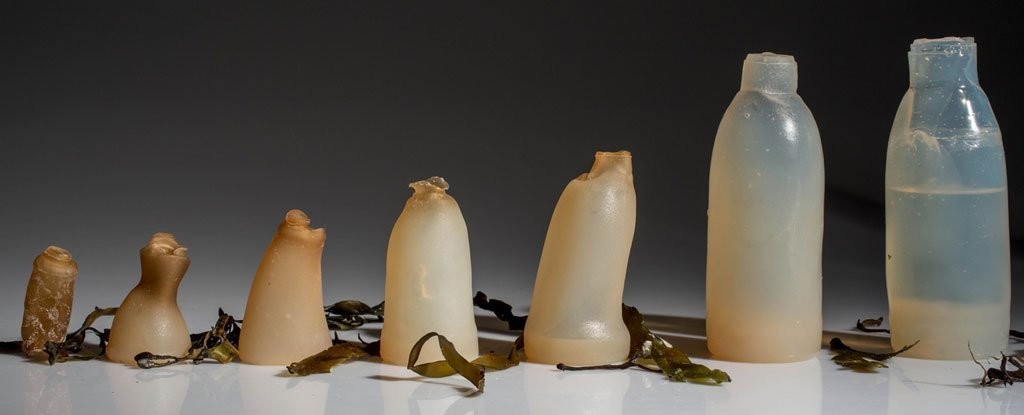 Botol air biodegradable ini rusak ketika kosong - Ghumi