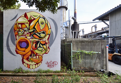 Vimural: The Viral Mural Home to Street Artist Biographies: SUIKO