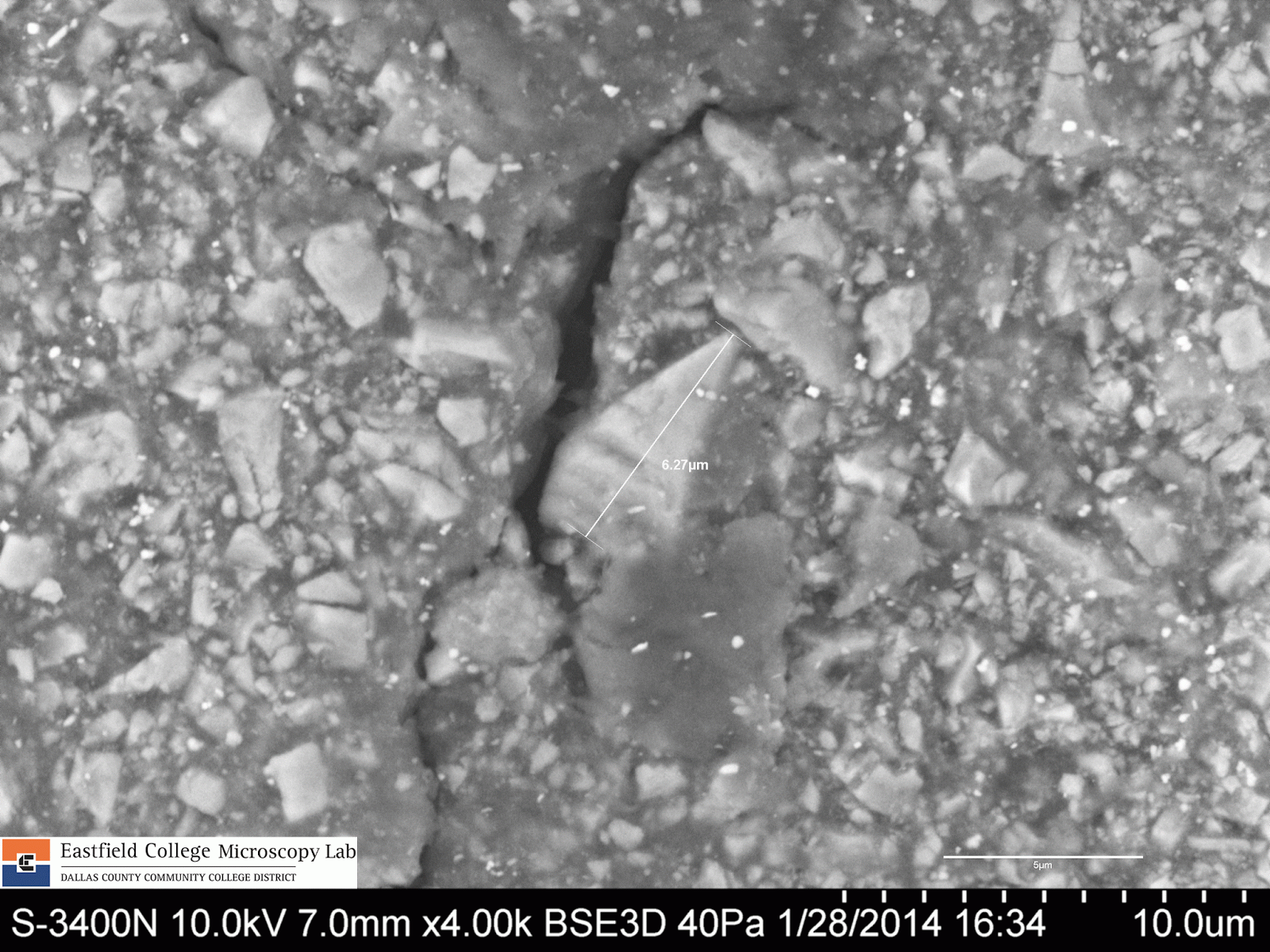 Scanning Electron Microscope Blog: $5 of Art in Your Pocket