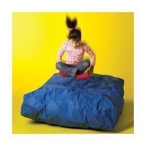 Autism Blogs Directory: Request Post: SENSORY CRASH PAD