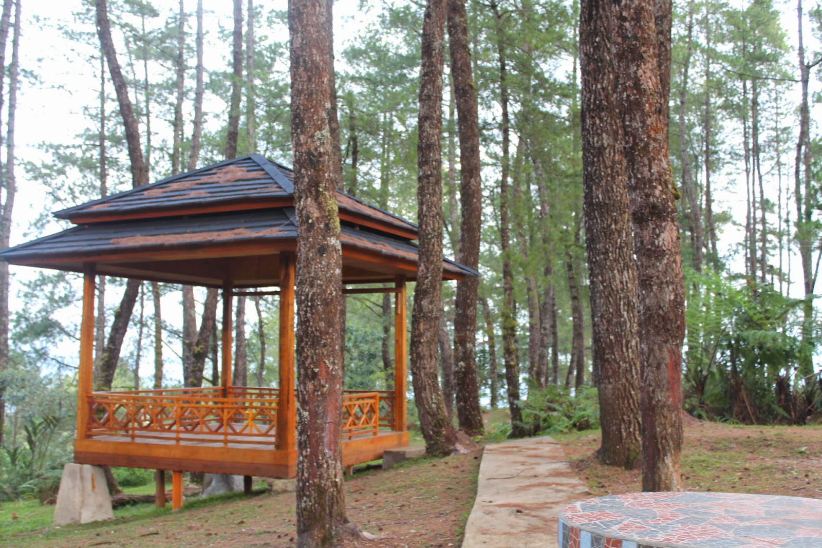 Gunung Pango-Pango @Tana-Toraja: Gunung Pango-pango