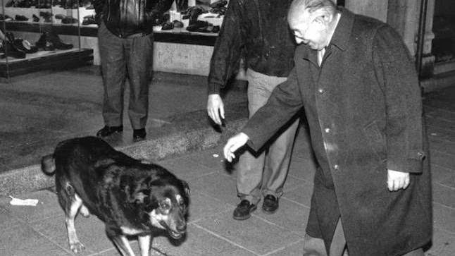 El Blog de Acebedo: "Rufo" el perro vagabundo de la ciudad de Oviedo