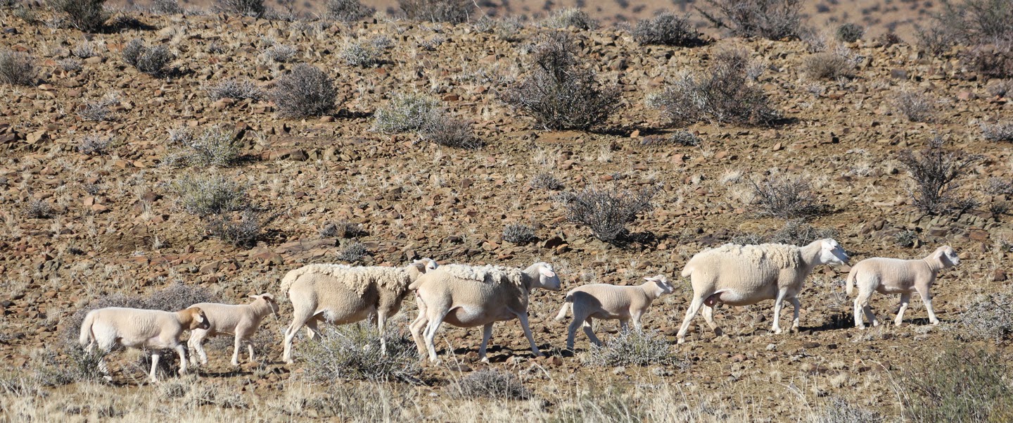 66 Square Feet (Plus): The road home