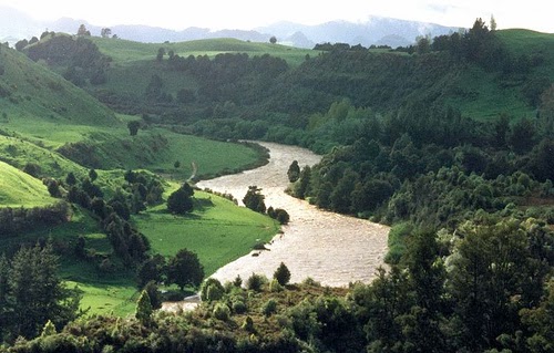 IMPORTANCIA DE REGIONES Y RECURSOS NATURALES : ESTEPA