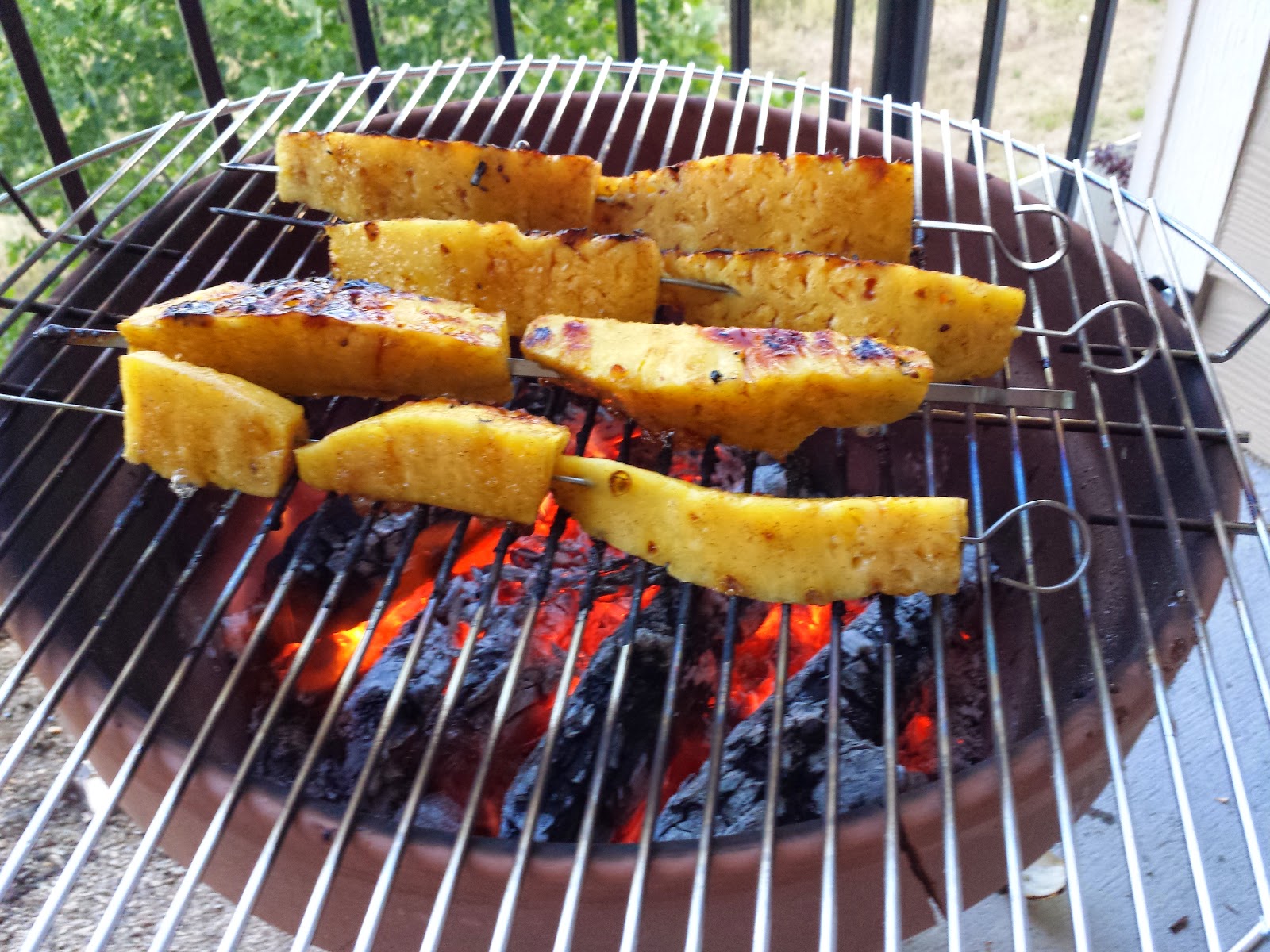 Barefoot with a Camera: homemade bbq