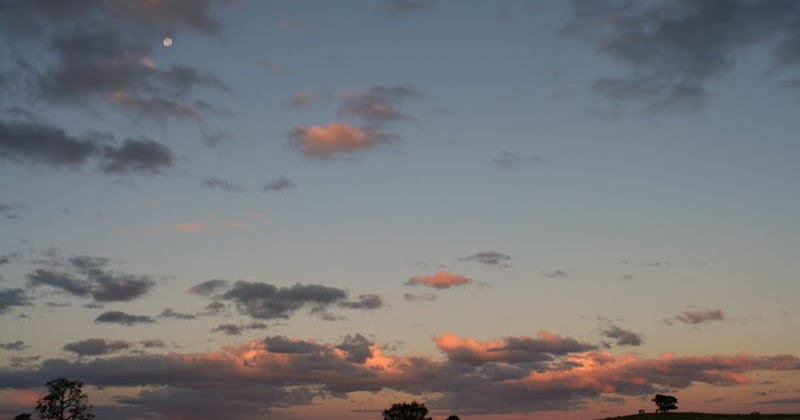 Lilyfield Life: Beautiful Countryside of the Far South Coast