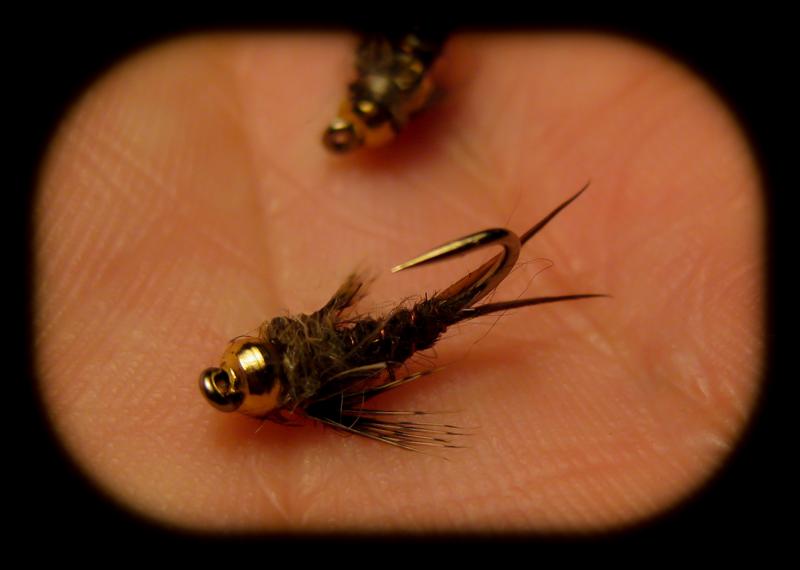 Place of Gold: Various Yellow Fish Patterns