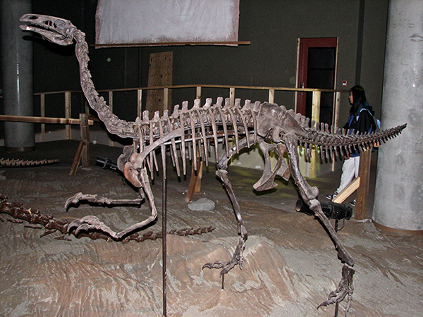 Mundo Pré-Histórico: Alxassauro, o elo dos terizinossauros