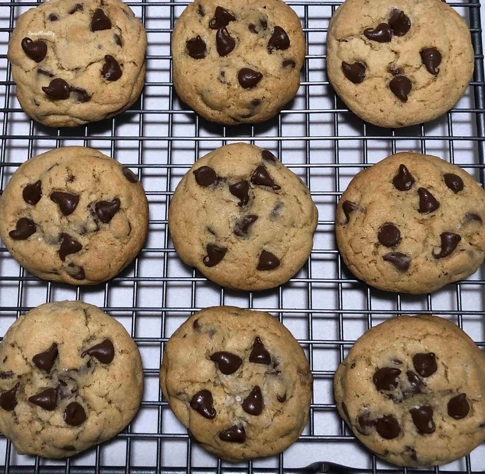 Hawaii Mom Blog: Salted Chocolate Chip Cookies Recipe