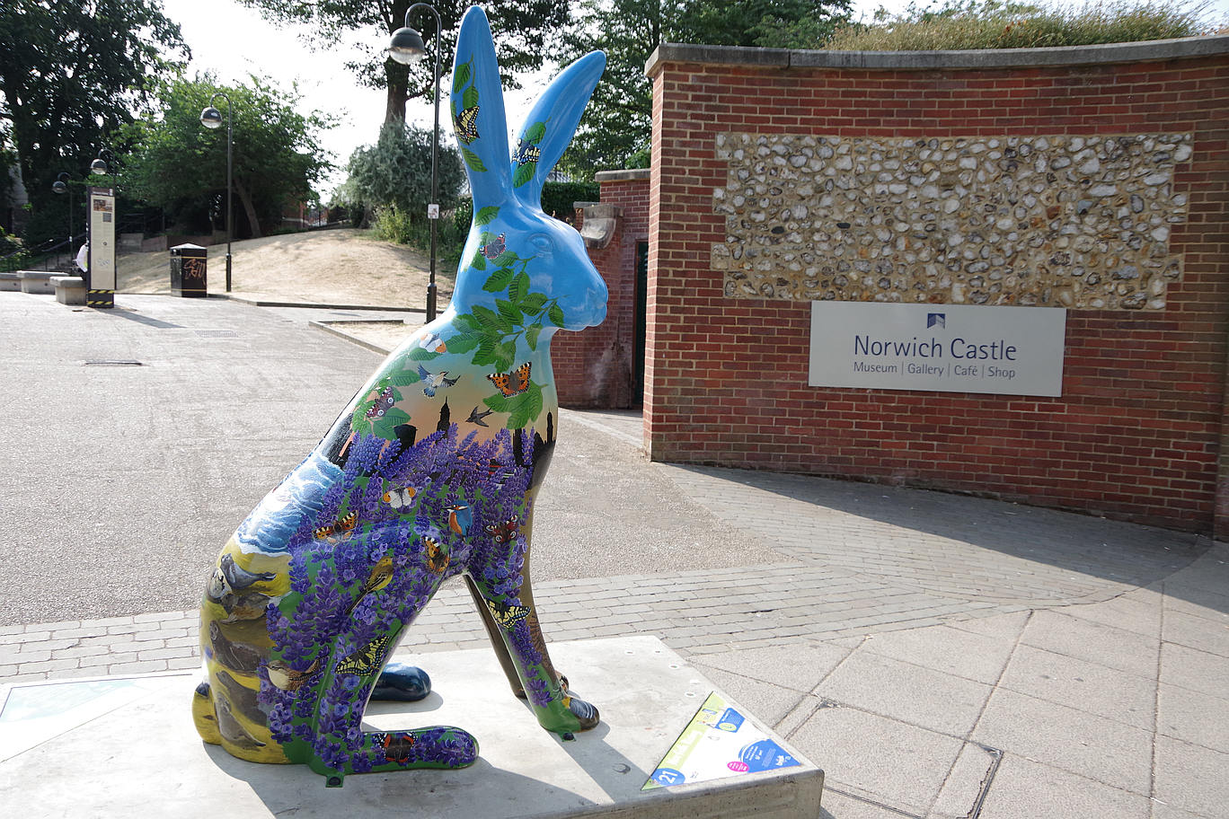 Birds of the Heath: Go Go Hares, Norwich and a Black Redstart