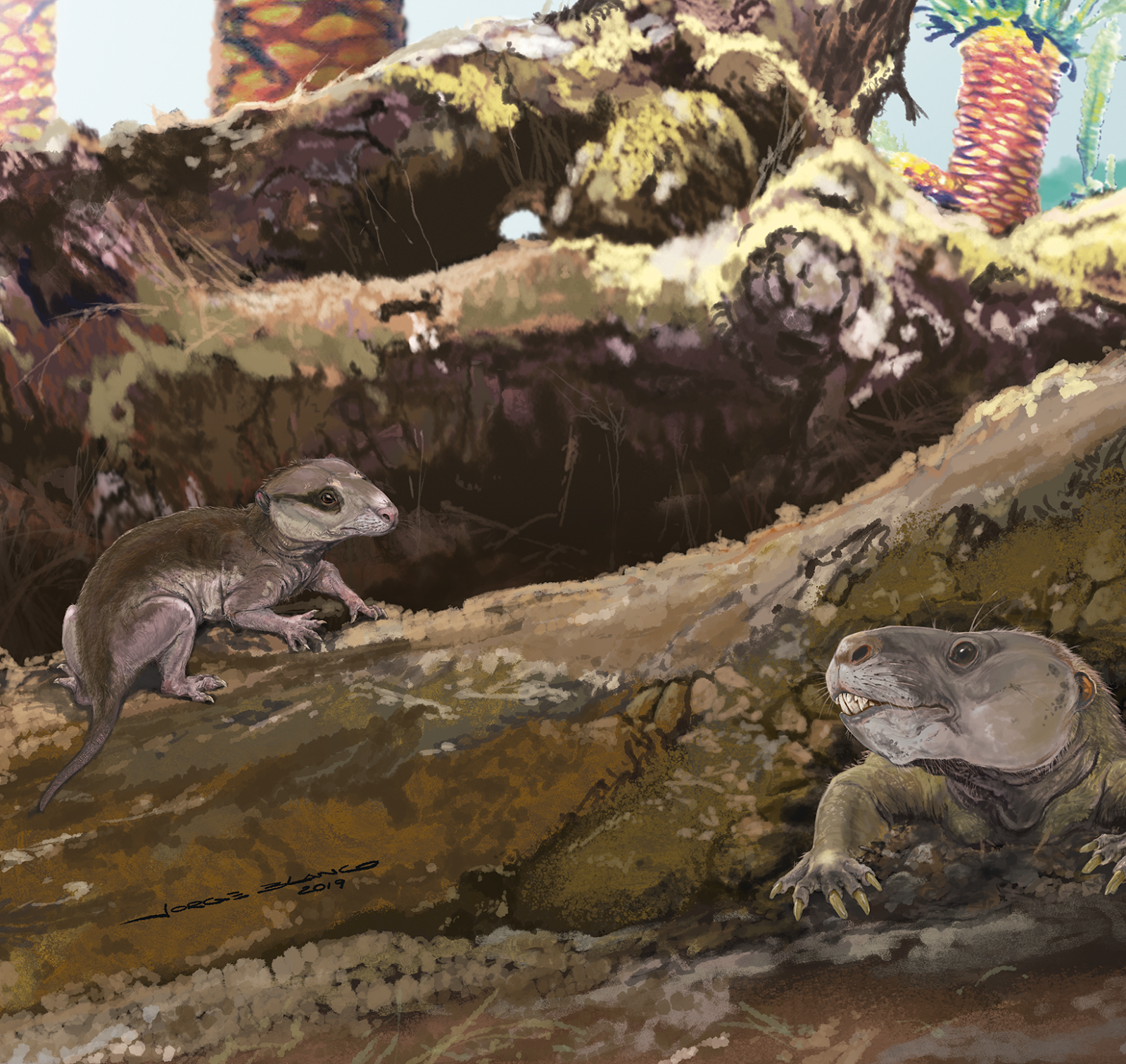 Species New to Science: [Paleontology • 2019] The Postcranial Anatomy ...