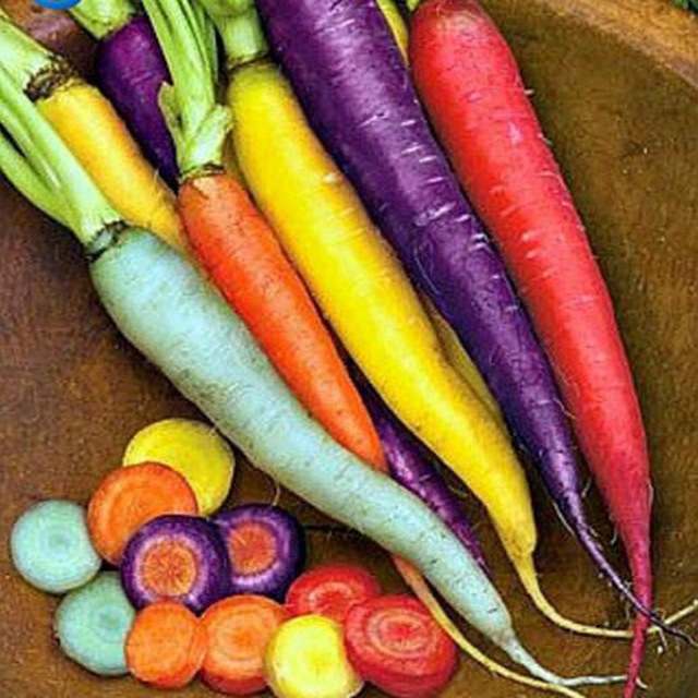 Wortel Hanya Satu Warna? Kata Siapa? Wortel Ada banyak Warnanya, Tidak ...