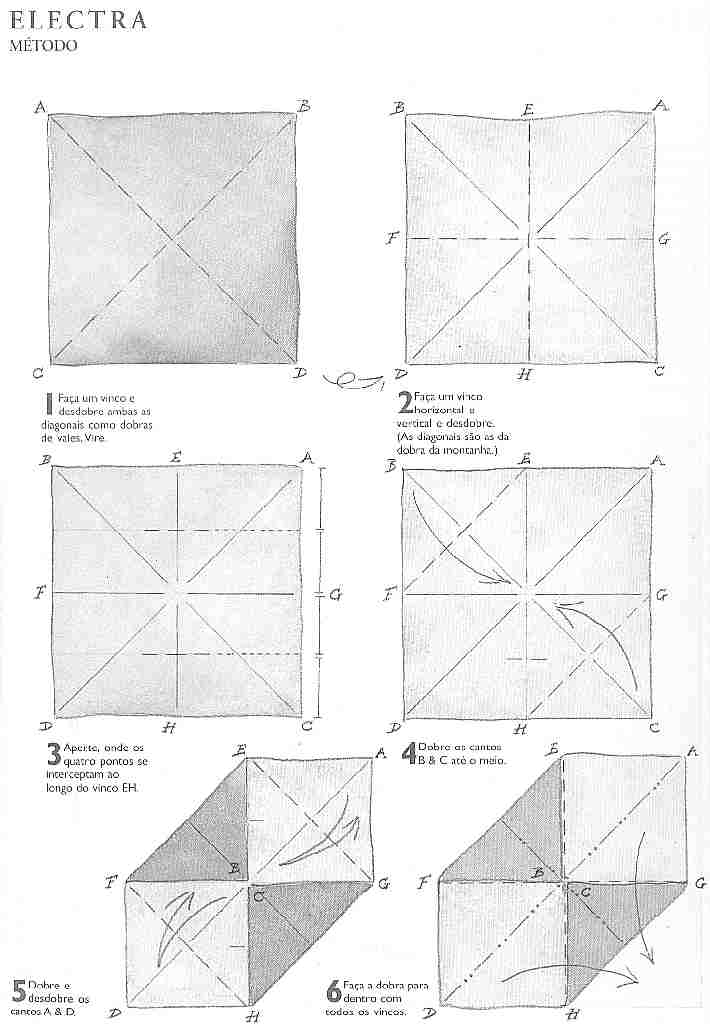 Dobras de Arte - Origami: Electra