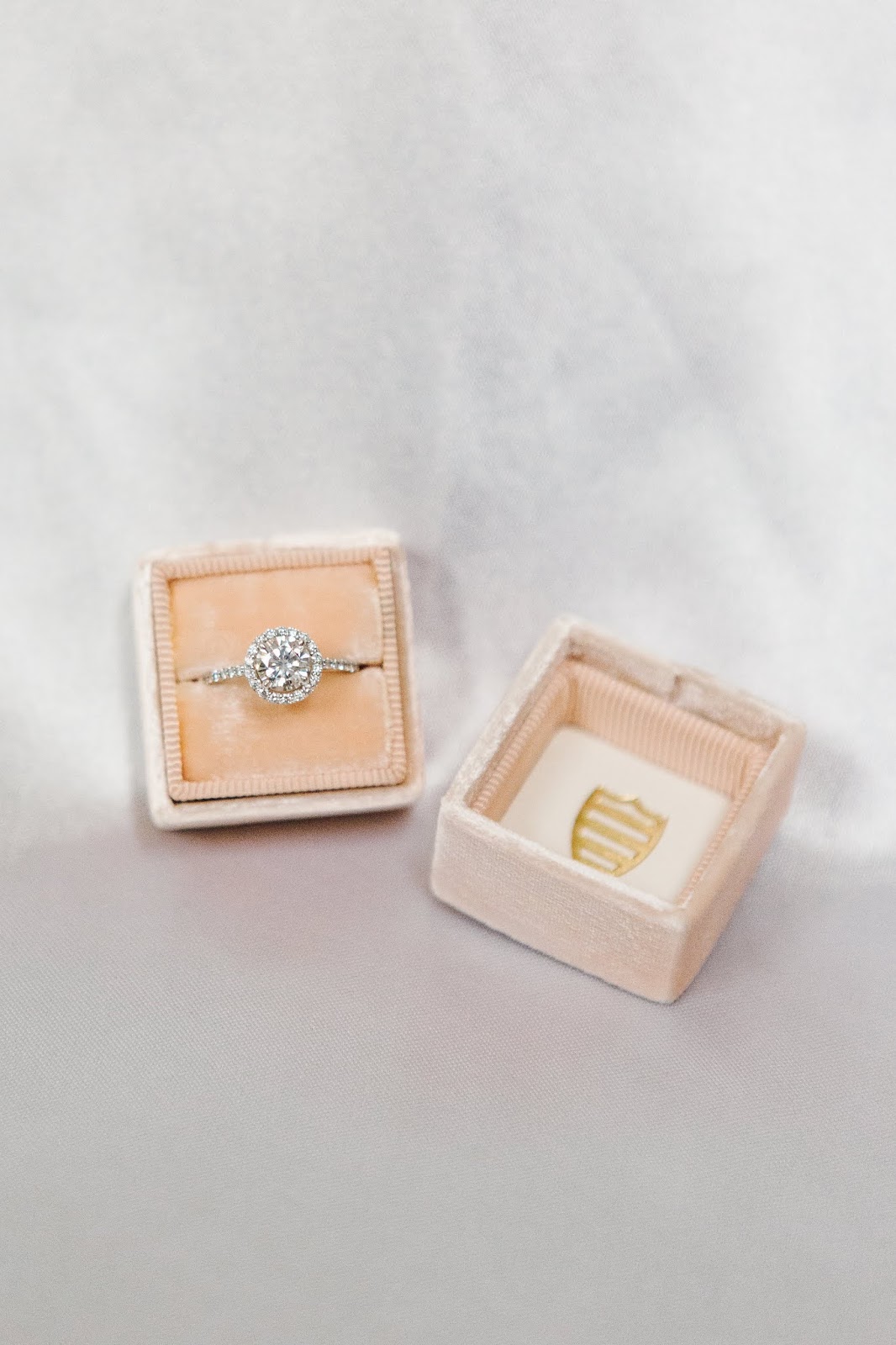 WEDDING | MEET THE ROBINS