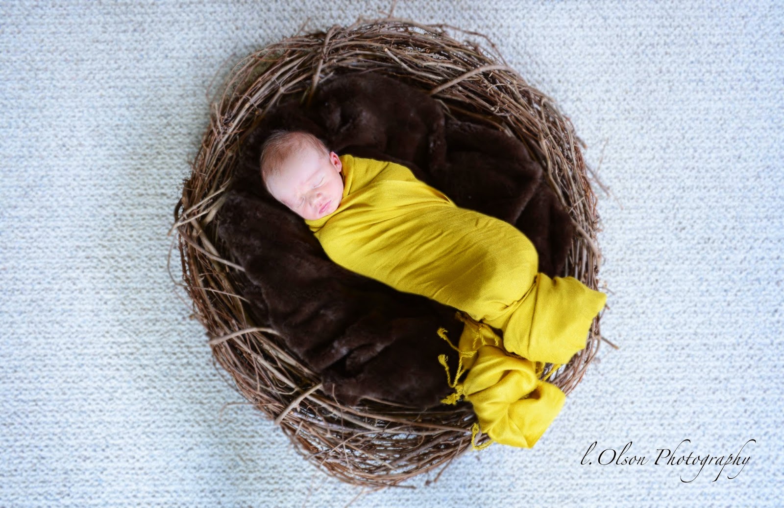 l.Olson Photography: Baby Finley