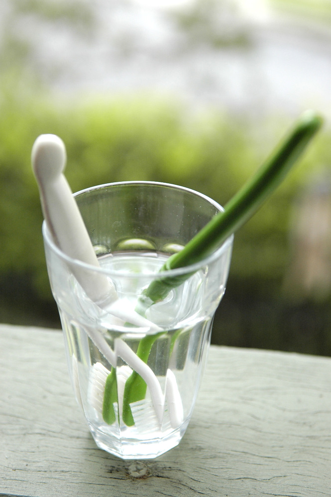 How to keep your toothbrush happy