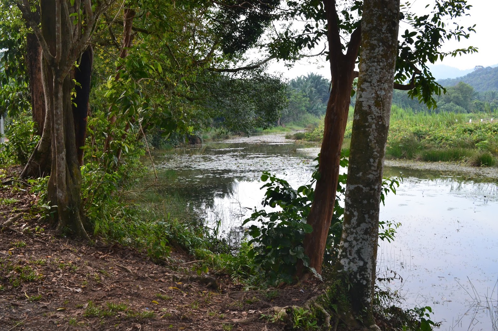 Tun Mamat dari Melaka ke Bukit Inas, Seri Medan