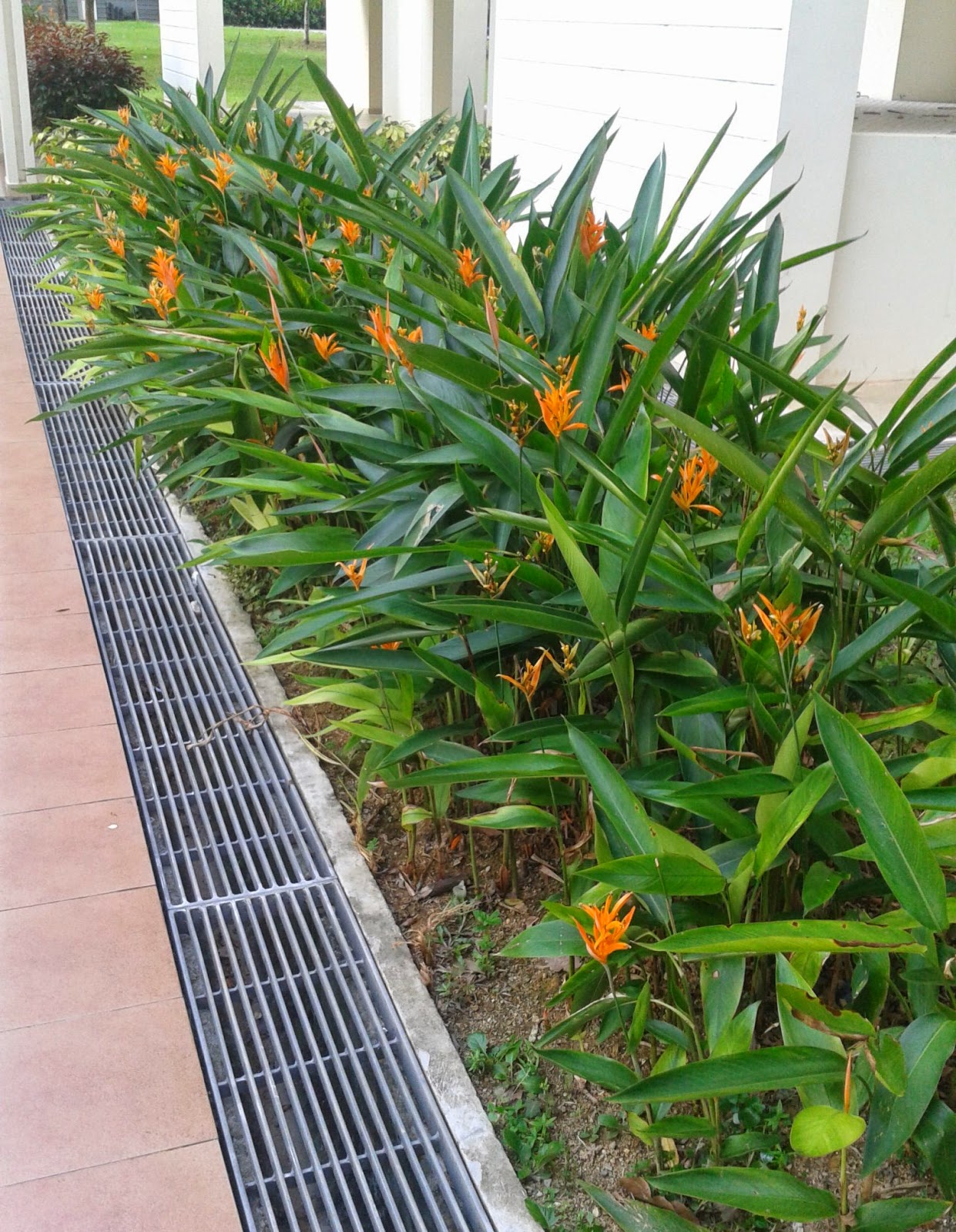 simperblog: It's Summer