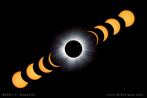 A school of fish: Sun and Eclipse Unit Study