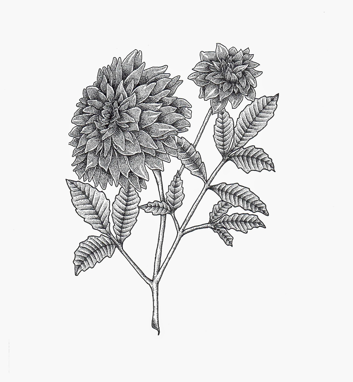 BRITTNEY SAVANNA: Dotwork Flower