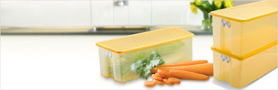 My Tupperware House: FridgeSmart Large