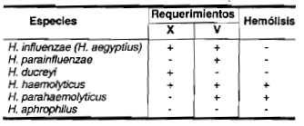 HAEMOPHILUS - Resumen de Microbiología Médica de Jawetz de la 18va Edición