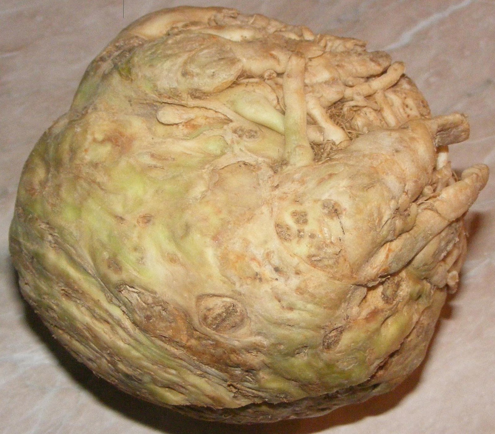 Salata de telina Retete Salata De Telina De Post | Preparatedevis.ro