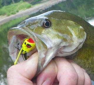 FishnDave: Smallmouth Bass, 7-27-2011