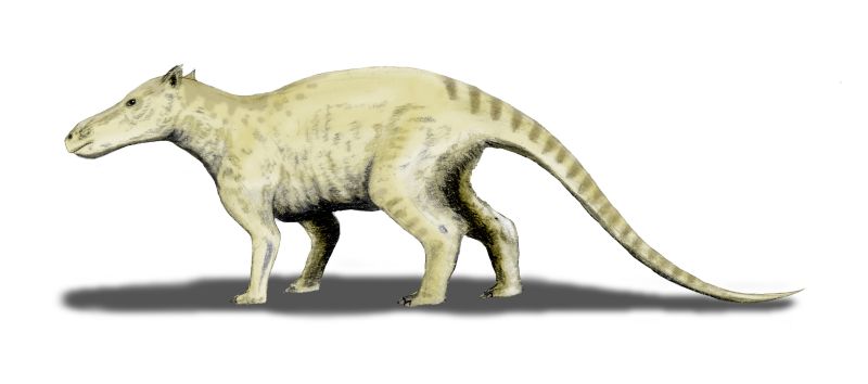 Los animales en la prehistoria: julio 2013