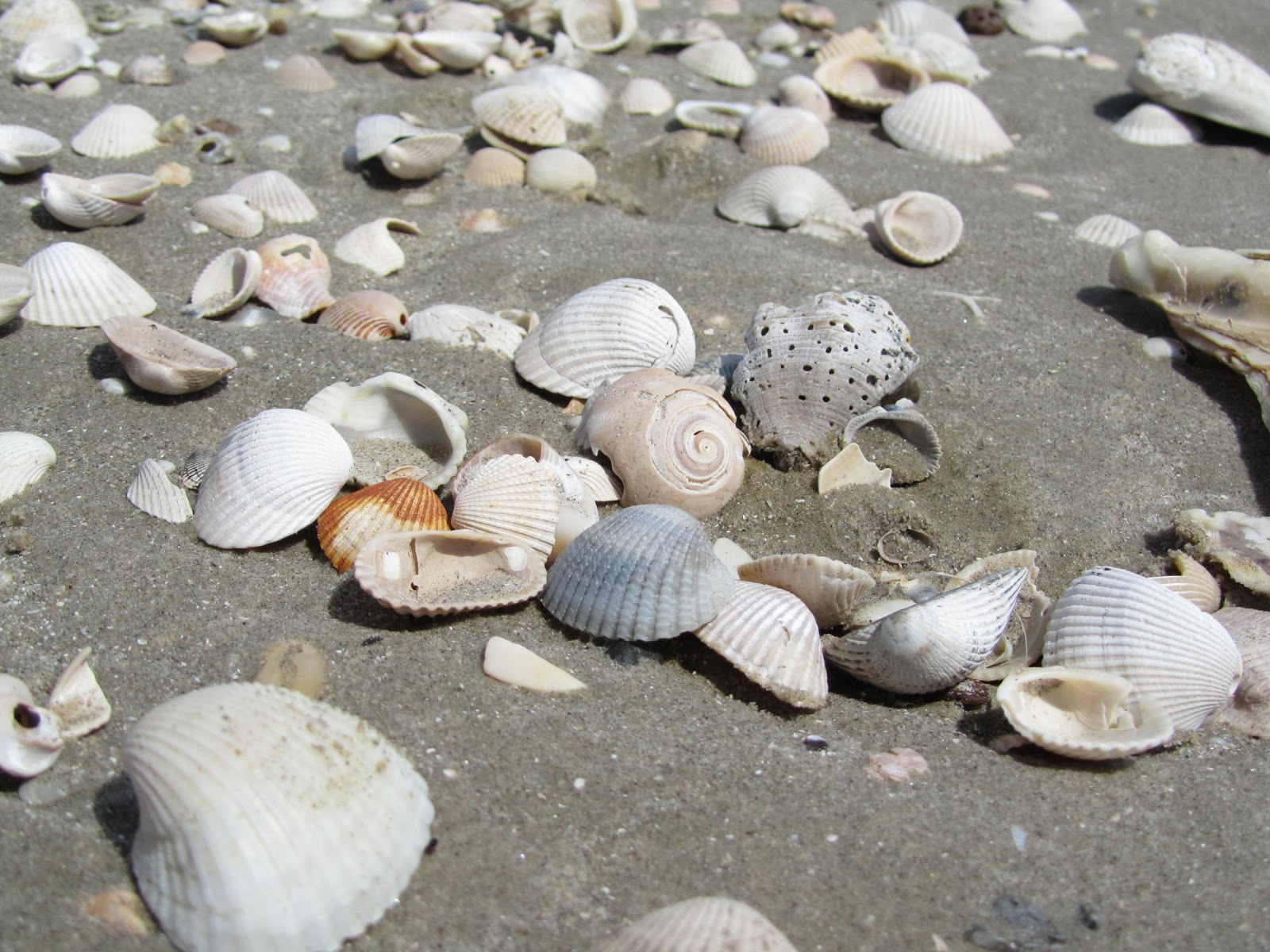 Ordinary Biker Oz: High Island - Lake Charles