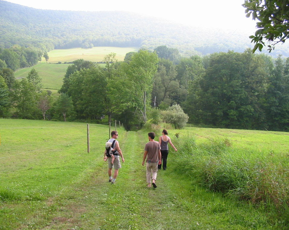 One Acre Farm: Back to my Farming Roots