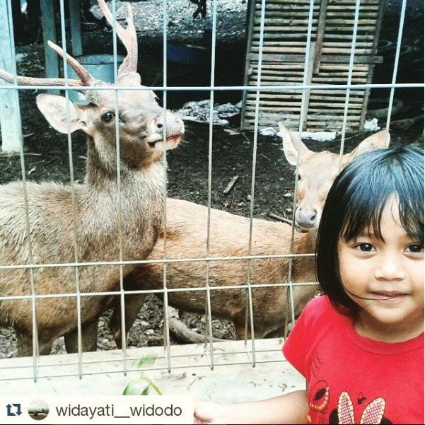 √Tembalang, Pesona Rayuan Mata dan Lidahnya Bukan Sembarang