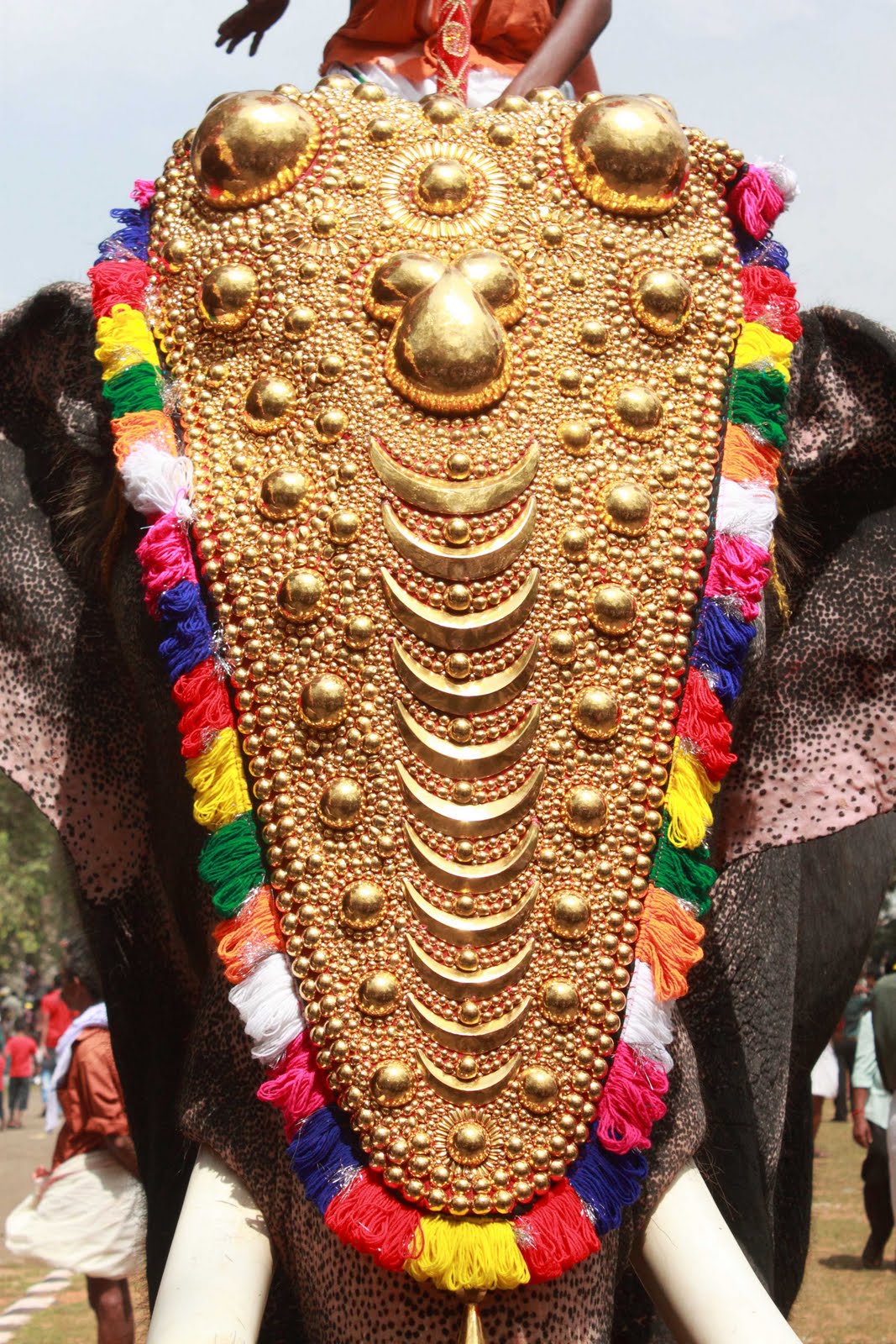 newsturbate: May 2011