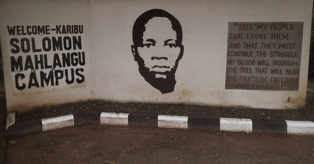 Solomon Mahlangu Freedom College