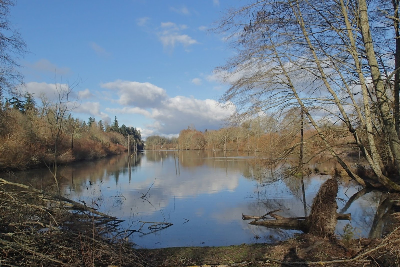 Casing Oregon: A Stop Along the Way: Talking Water Gardens