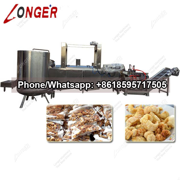 Continuous Fryer Machine for Pork Rinds