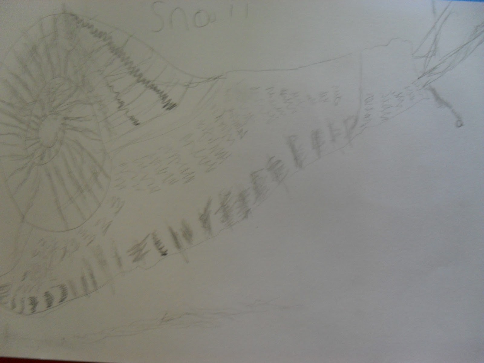 Willow Reception Class Greenfields: Look at our Minibeast Sketches!