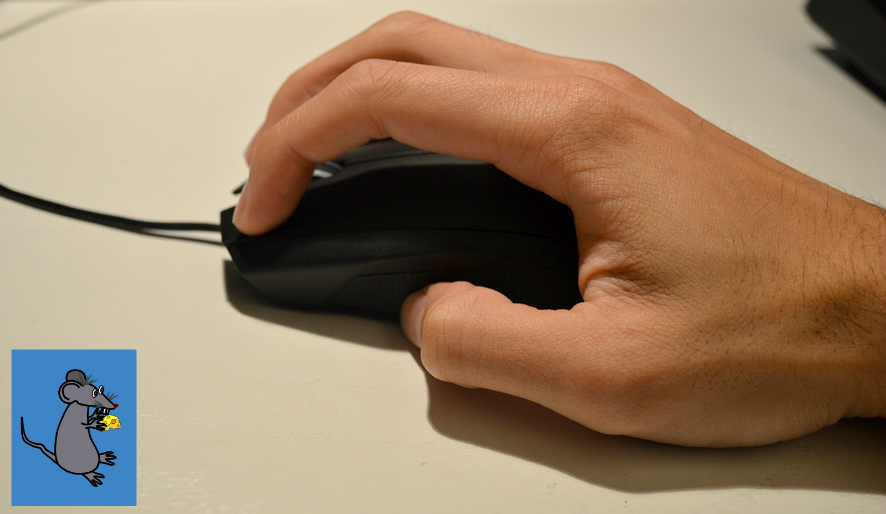 Jak używać myszkę - opis nie dla kota
