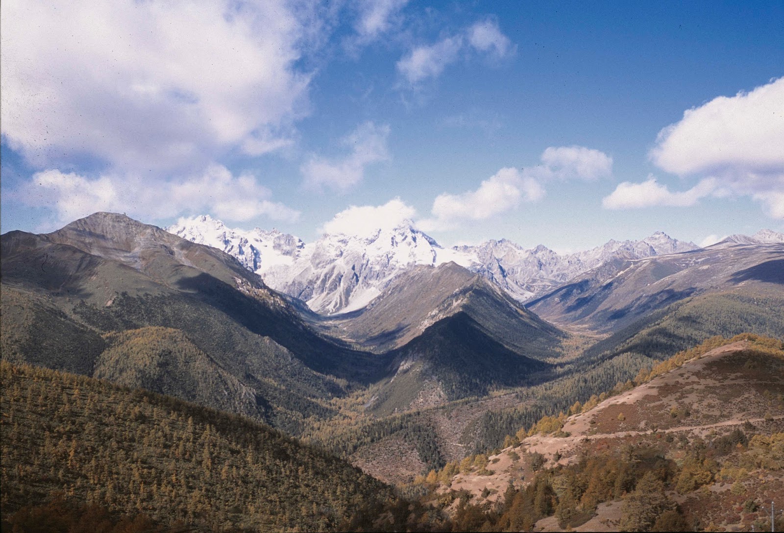 In the footsteps of Joseph Rock 重走洛克路: Joseph Rock: about this site