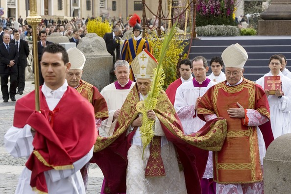 This Italian Life: LIFE: Palms @ the Vatican