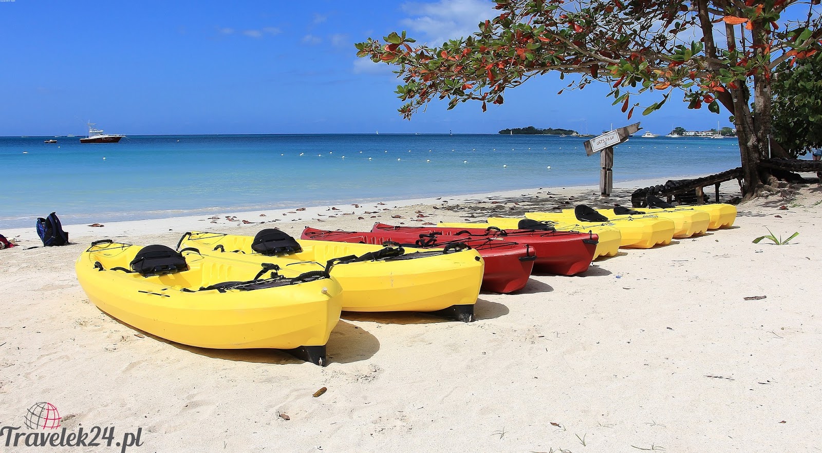 Jamajka. Co zobaczyć? Informacje, ceny, wycieczki, opinie o wyspie.