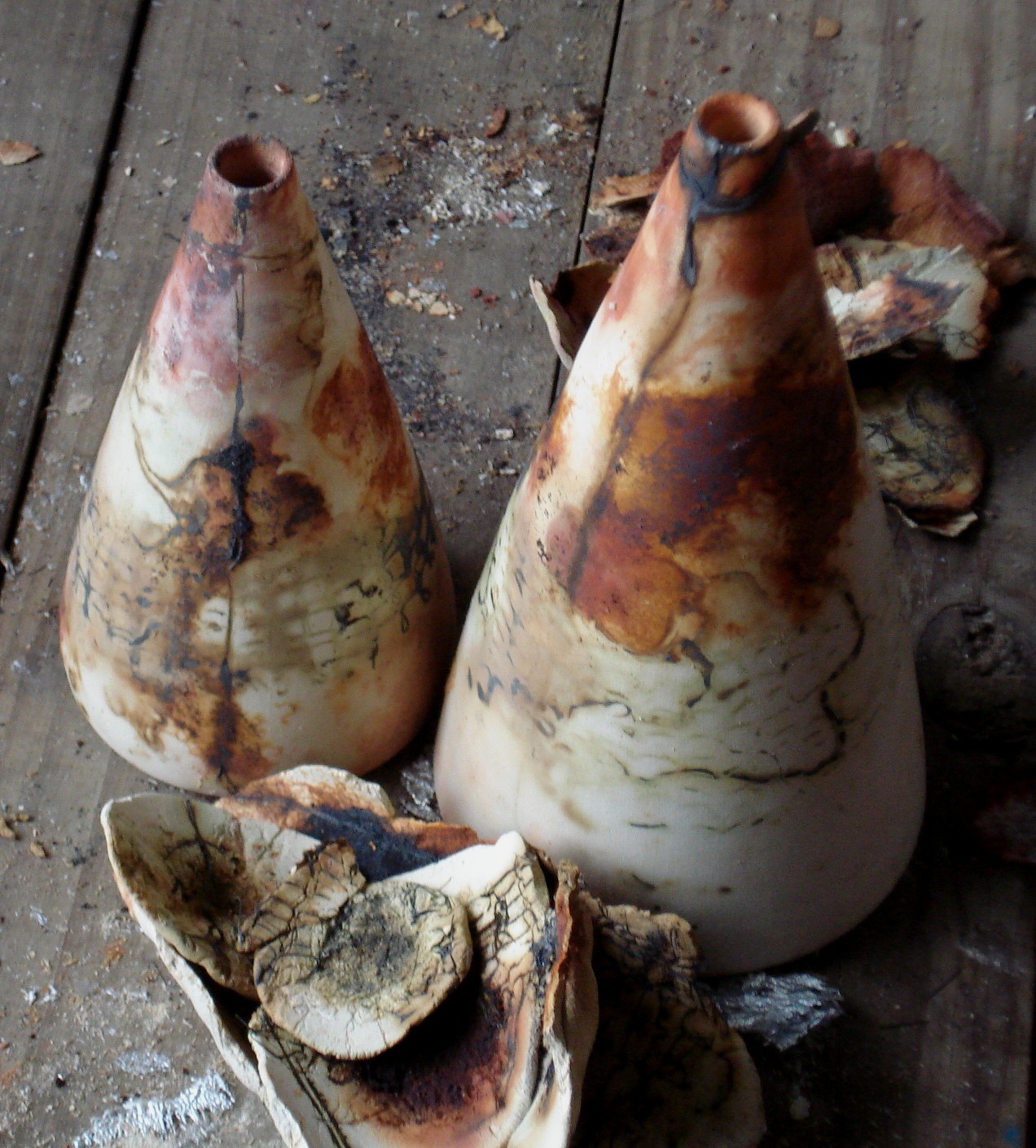 Studio Cerâmica Maga: SAGGAR FIRING