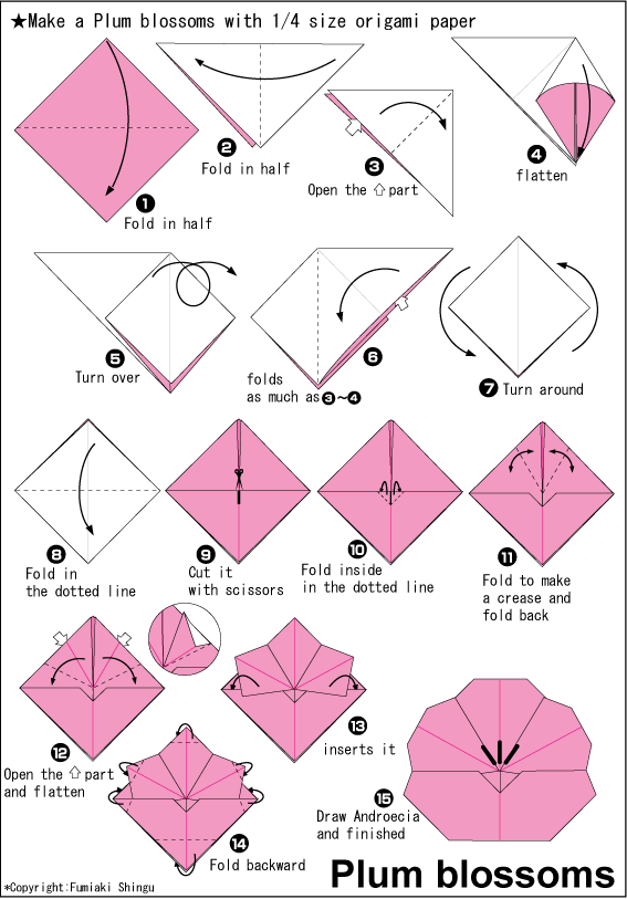 Origami bunga teratai - Imagui