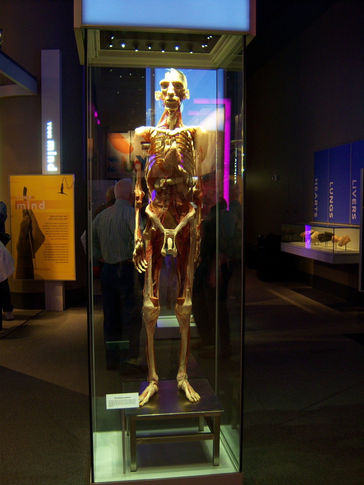 The Voice Of Silence: REPORT on “YOU!, THE EXPERIENCE” Exhibit at ...