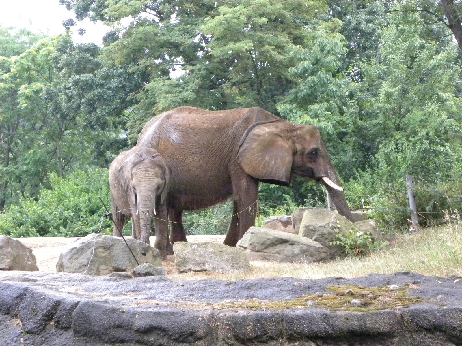 Schick Fun Ideas: Overnight at the Pittsburgh Zoo & PPG Aquarium