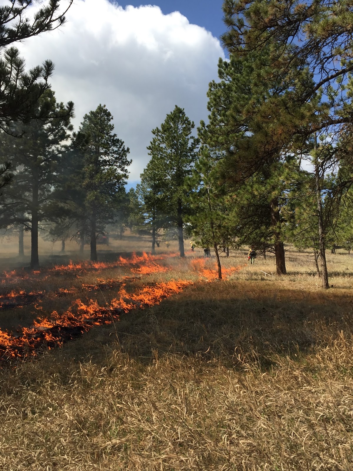 Great Plains Fire Information: 2018