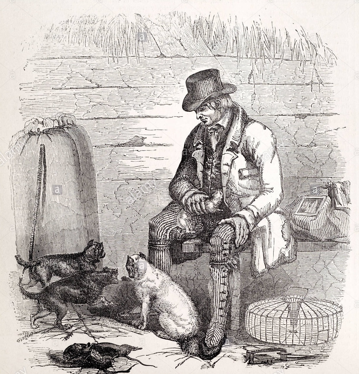 Treasure Hunters HQ: No Thiefs in Port