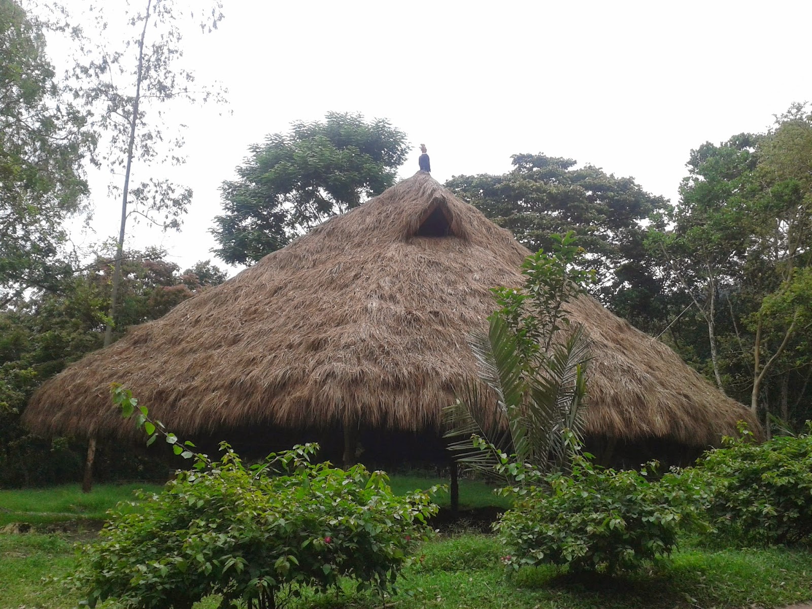 ARQUITECTURA NASA: MALOKA NASA, casa ancestral, Yat Wala.