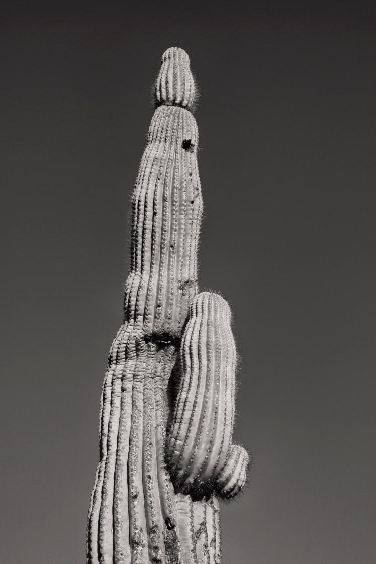 October 2014 ~ Steven Dempsey on Photography